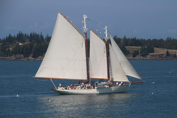 Labor Day Parade of Sail - Points East Magazine